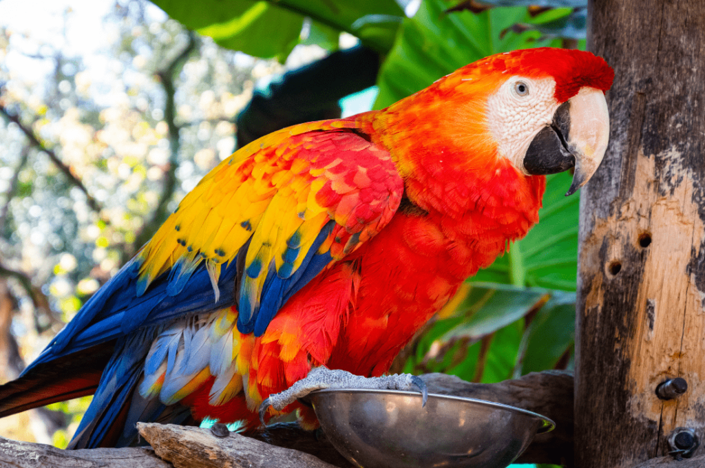 Zoo de Monaco : guide complet pour visiter le jardin animalier de ...