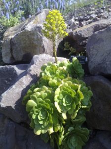 Le Jardin Botanique de Nice à Visiter | ESPLOURATOUR